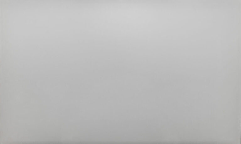 Cosmopolitan Gray™ - Stratus Surfaces